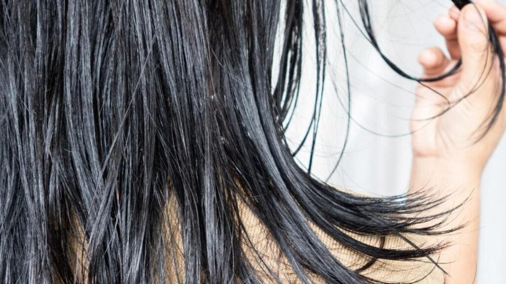 Foliculite capilar: conheça as causas e os tratamentos - Rádio Santiago FM